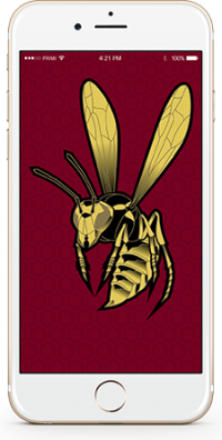 DOWNLOADS – Nineteen76 Distribution